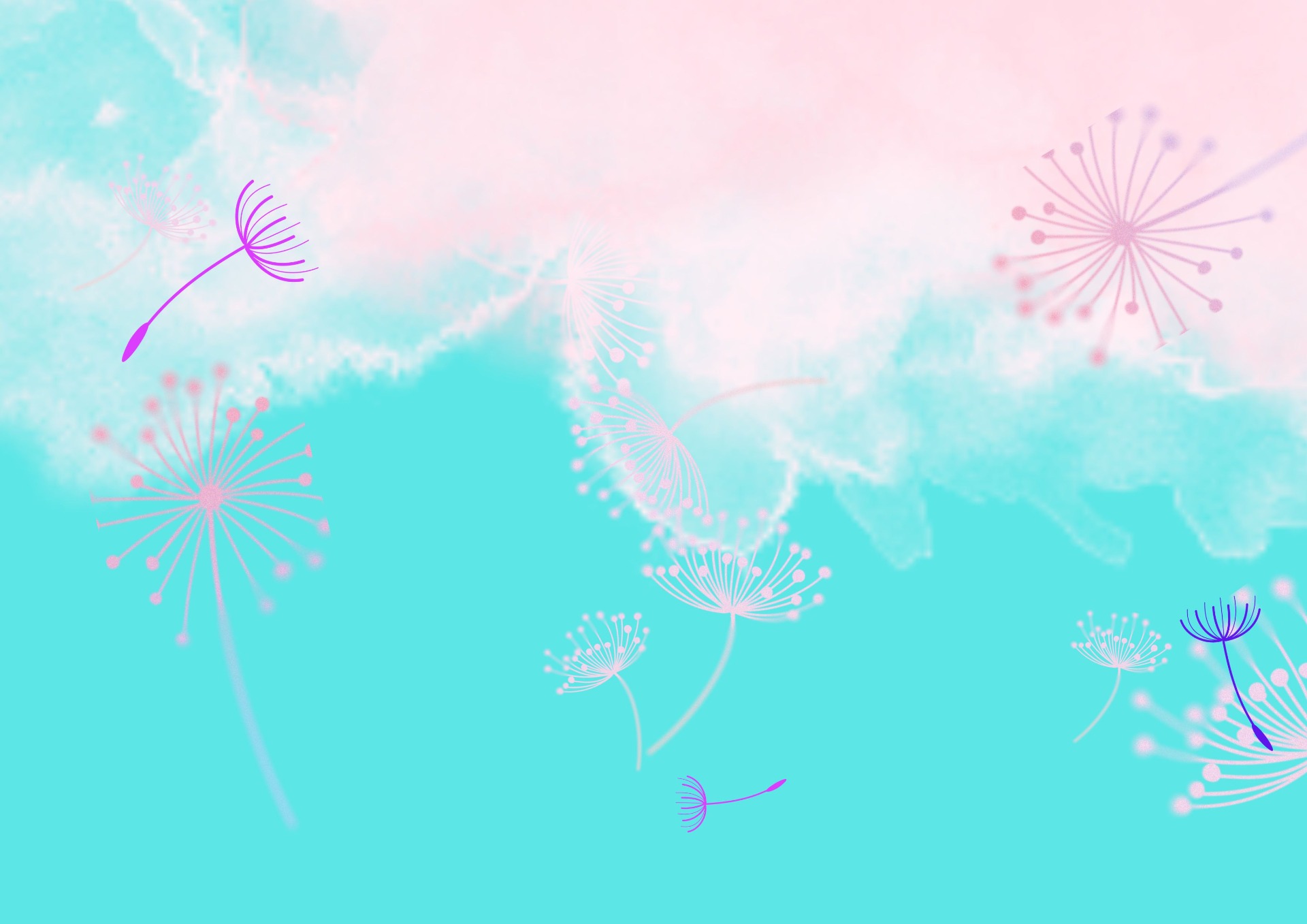 Rezervace :: pohoda.studio.slany